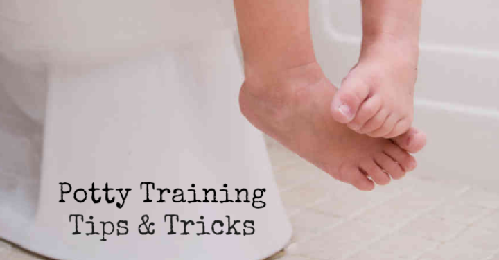 Step-by-Step Potty Training Tips (The Perfect Quarantined Goal ...
