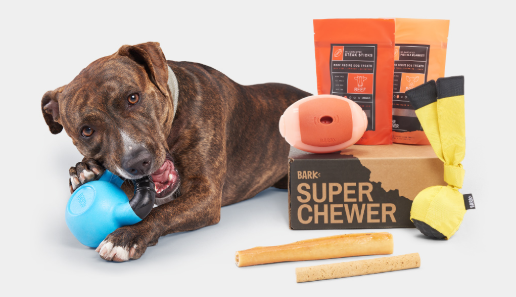 FREE Benebone With Super Chewer Boxes! - Common Sense With Money