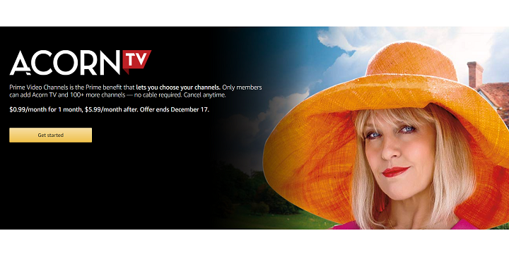 Prime Members: Acorn Streaming Service Only $.99 For 1 Month! - Common Sense With Money