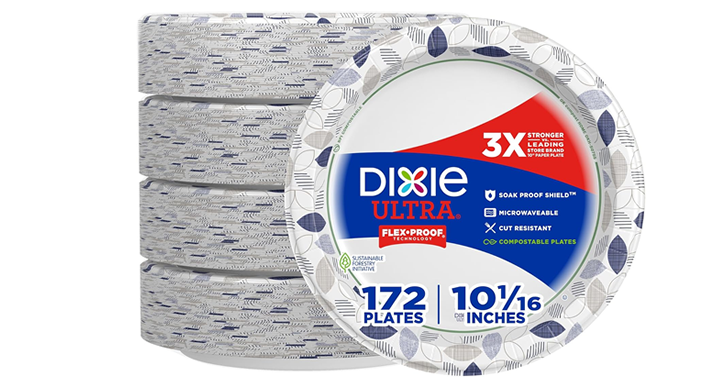 Dixie Ultra, Large Paper Plates, 10 Inch, 172 Count – Just $21.02 ...